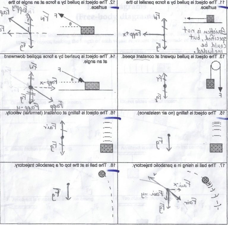 05 Free Body Diagrams Physics Classroom Answer Key - Ygraph