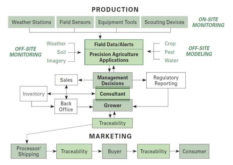 Agriculture Production Flow Diagram - Ygraph