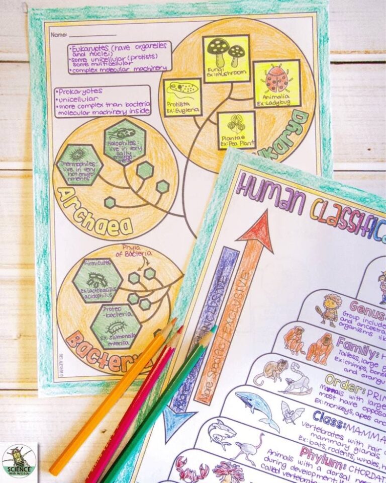 Biology Notes Doodle - Ygraph