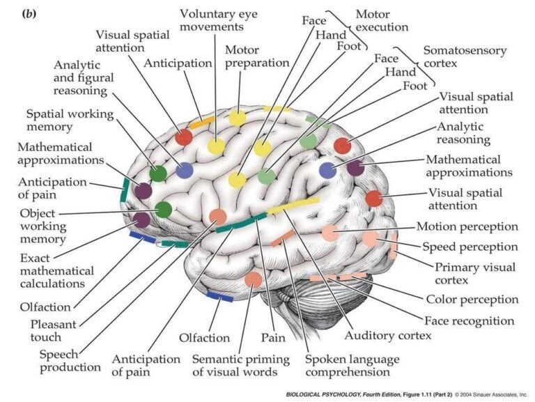 Ygraph - Your Graphs, Charts and Diagrams