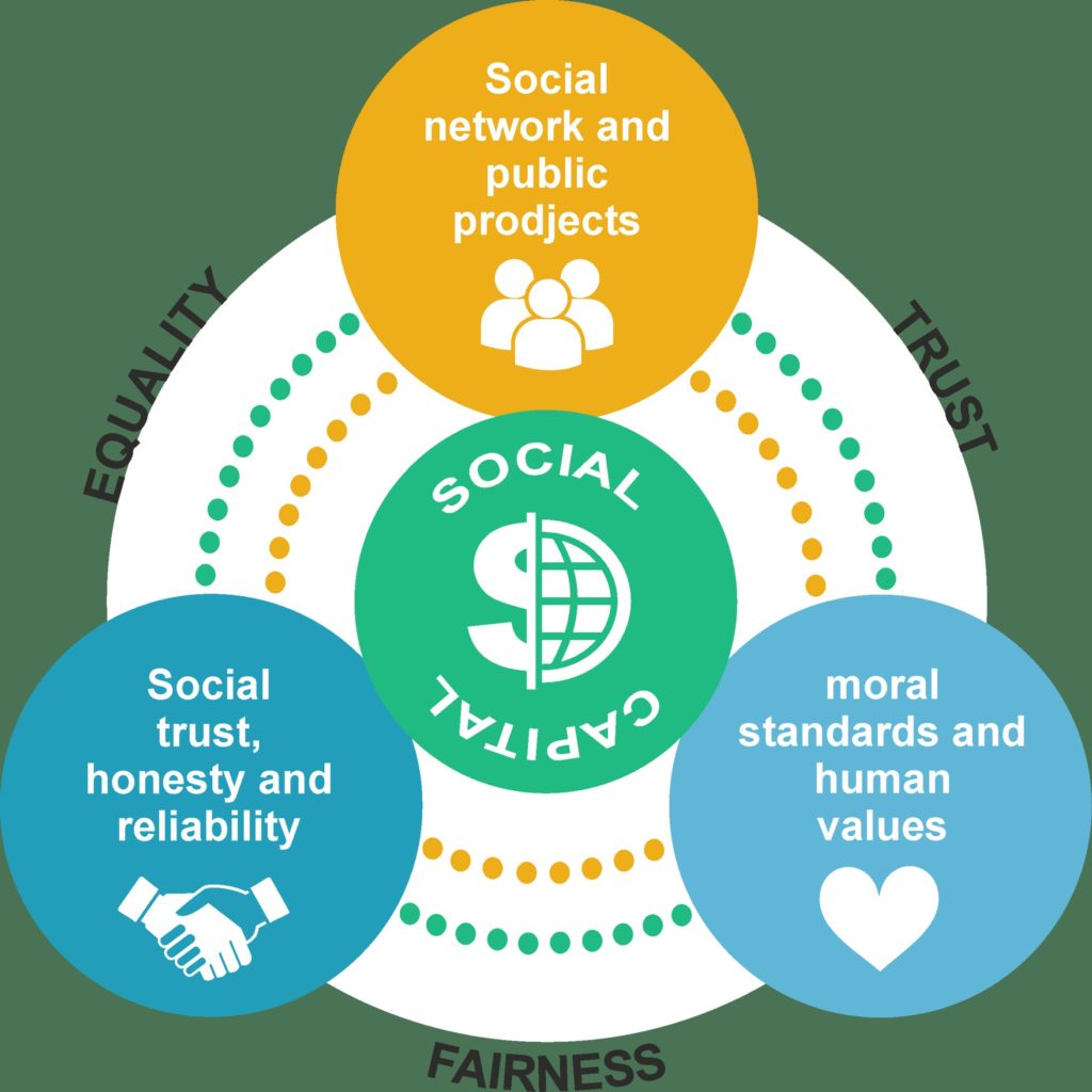 Building your social capital diagram - Ygraph