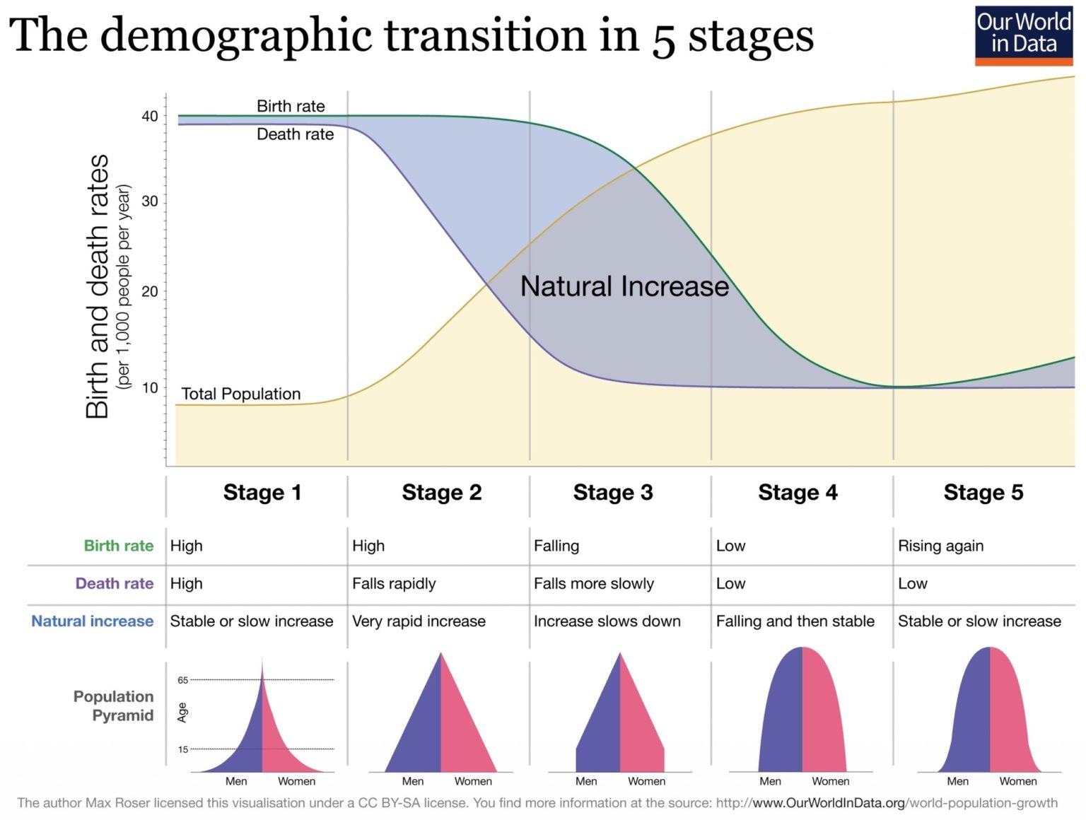 Demographic Transition Model Ygraph