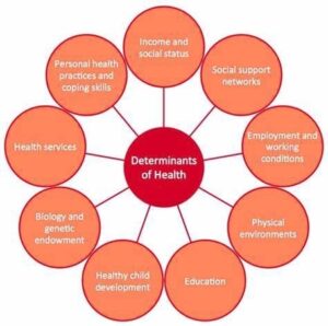 Determinants of Health - Ygraph