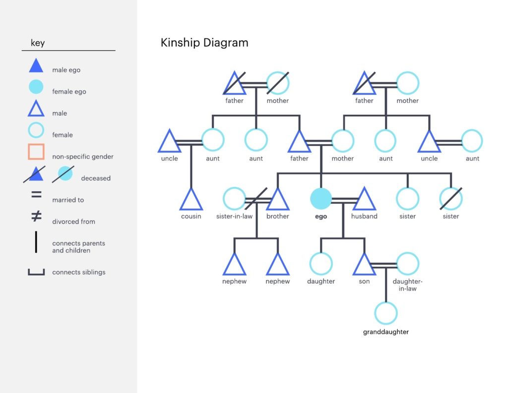 Family Tree Chart - Ygraph