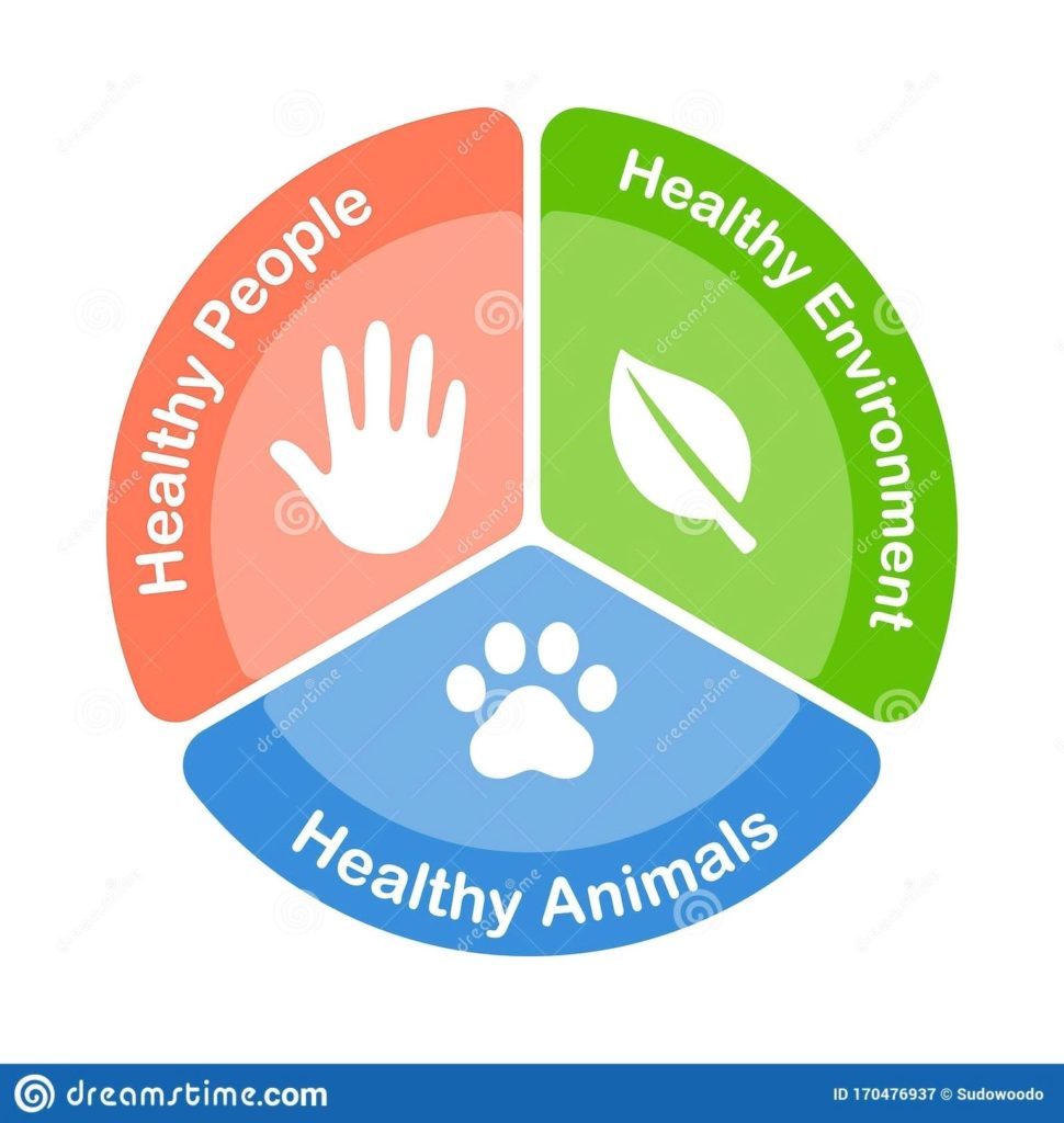 Health People Environment Animals - Ygraph