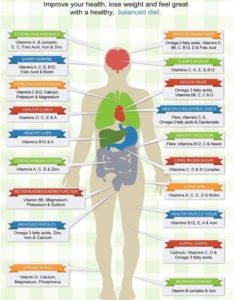 Health and nutrition diagram - Ygraph