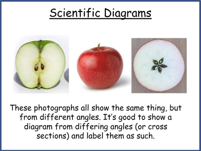 Ks2 Scientific Diagrams - Ygraph