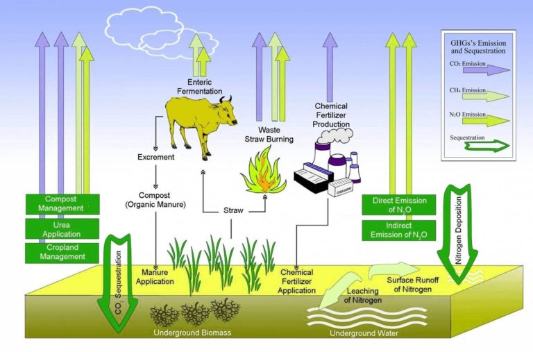 Organic Farming And Carbon Sequestration - Ygraph
