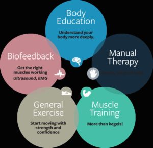 Physical therapy diagram - Ygraph