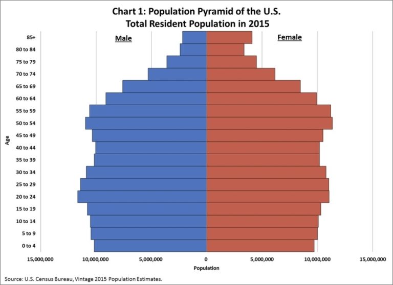 Population Pyramid Of The United States - Ygraph