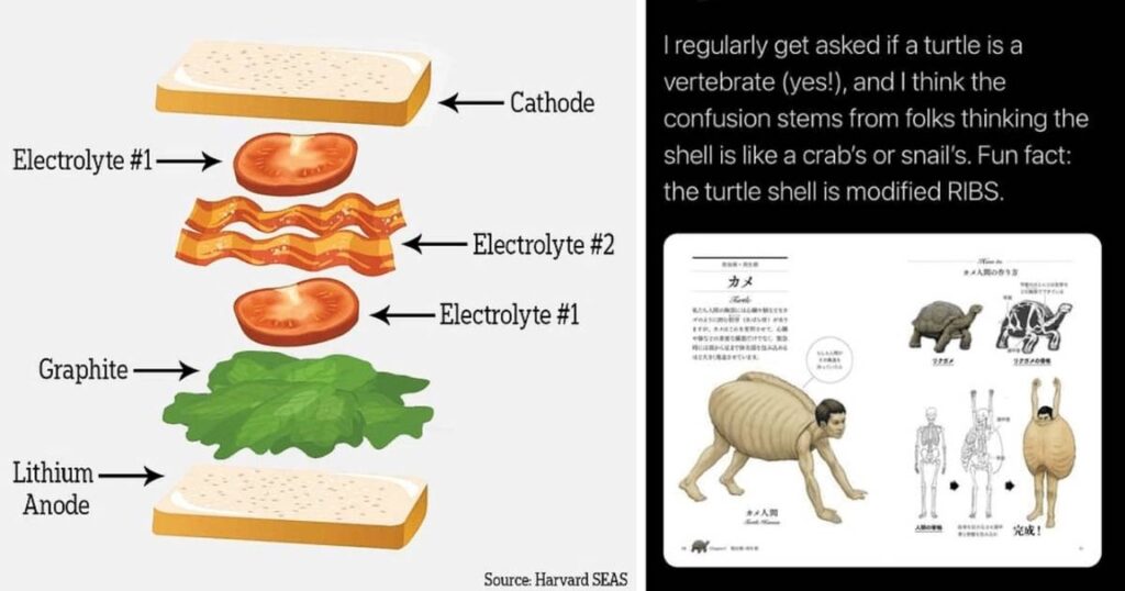 Ygraph - Your Graphs, Charts and Diagrams