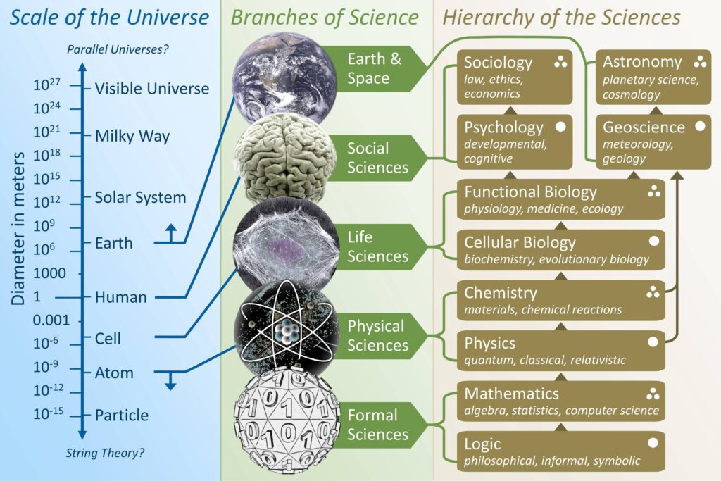 Science Terms And Definitions - Ygraph