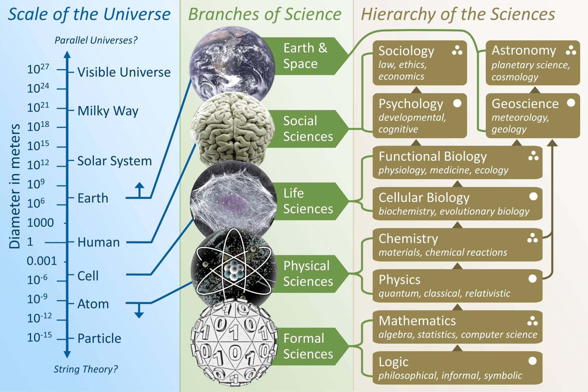 Science Terms And Definitions - Ygraph