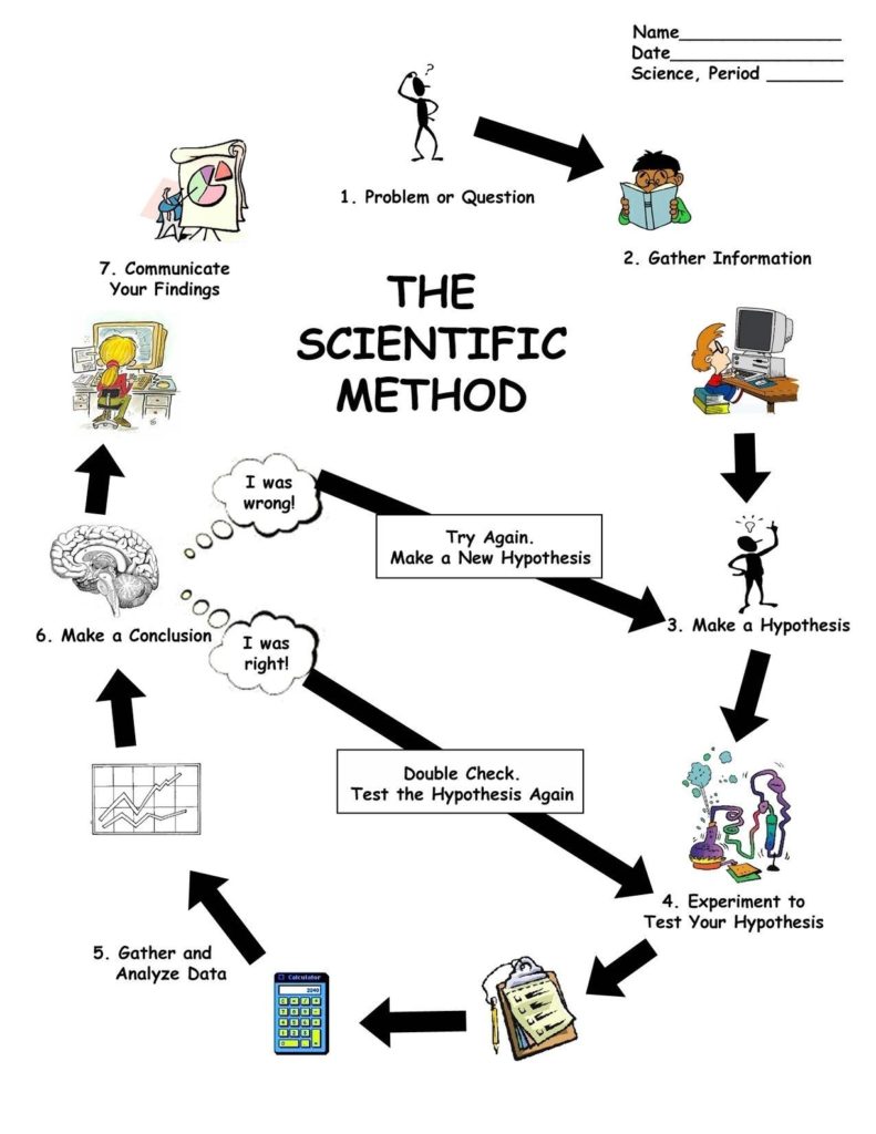 Scientific Method Worksheet - Ygraph