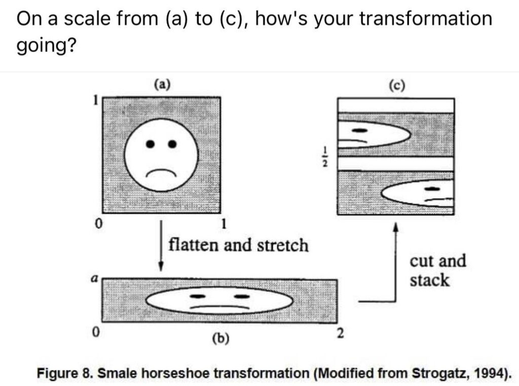 Smale horseshoe tranformation - Ygraph
