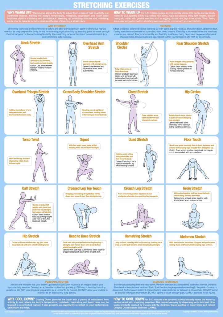 Stretching exercise chart - Ygraph