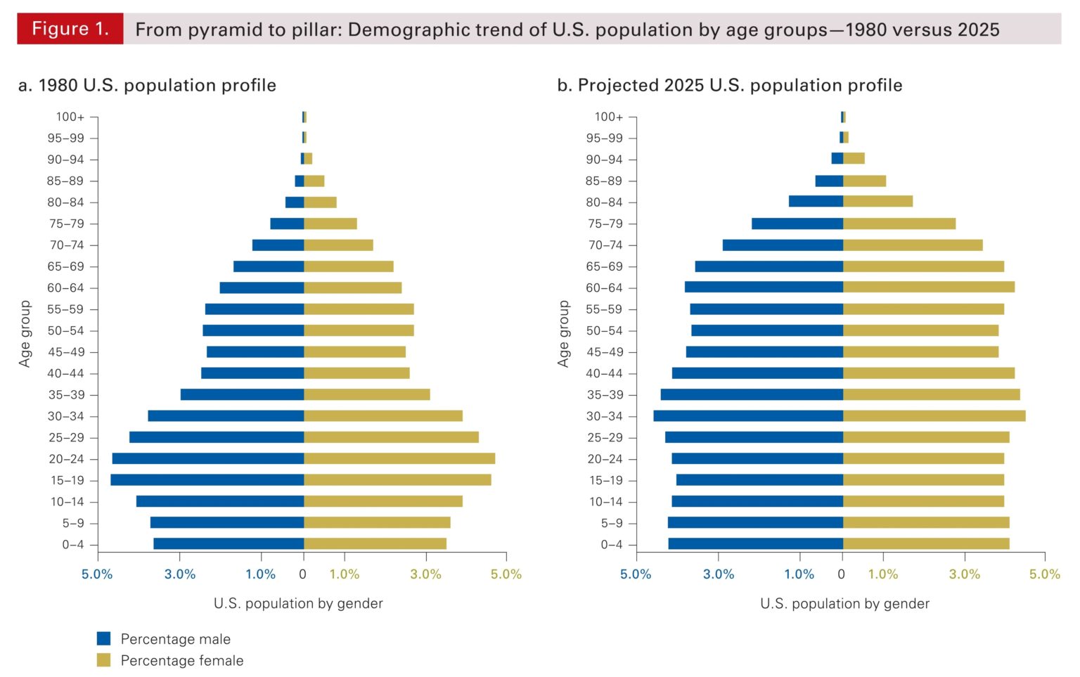 U.s. Population Distribution By Age - Ygraph