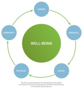 Well being parts - Ygraph