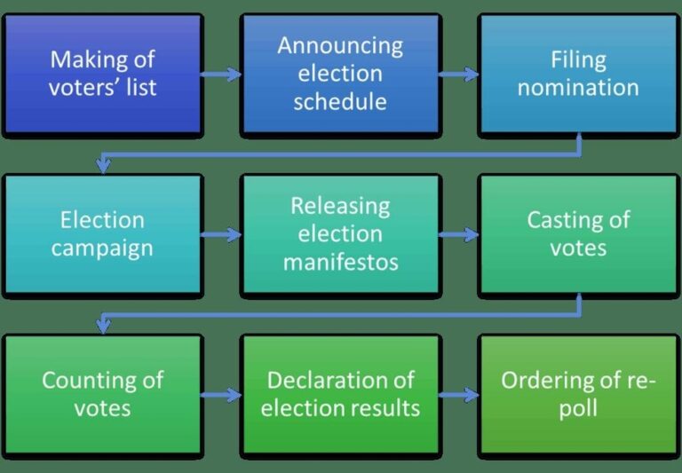 What Are The Different Stages Of An Election - Ygraph